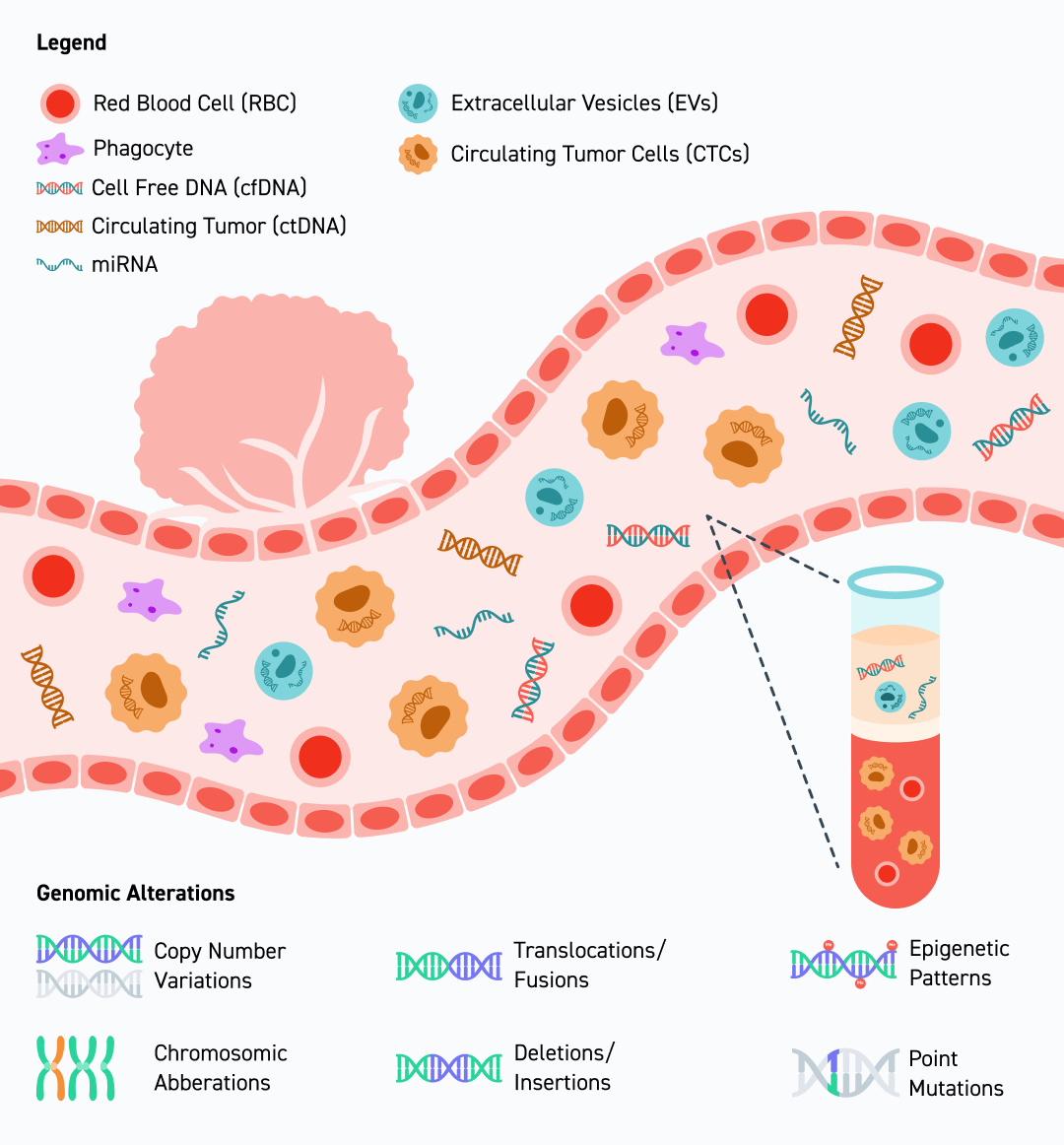 Liquid Biopsy Research | Twist Bioscience